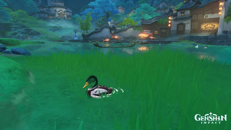 i didnt know that ducks could swim on land | Fandom