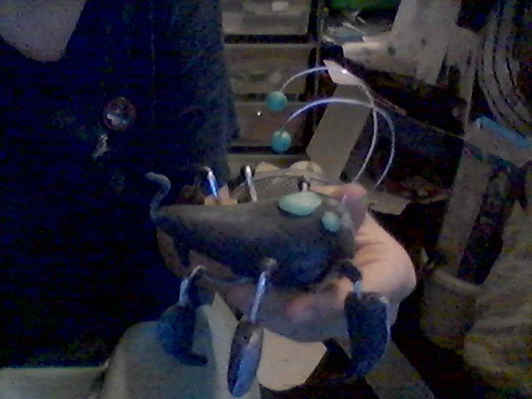 sentinel puppet and keybug | Fandom