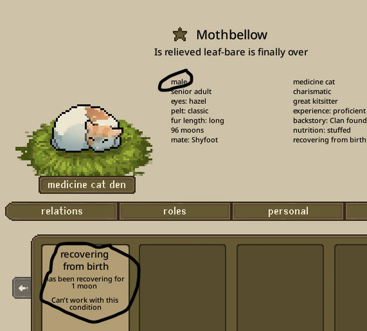 Discuss Everything About Npc Wcue Wiki | Fandom