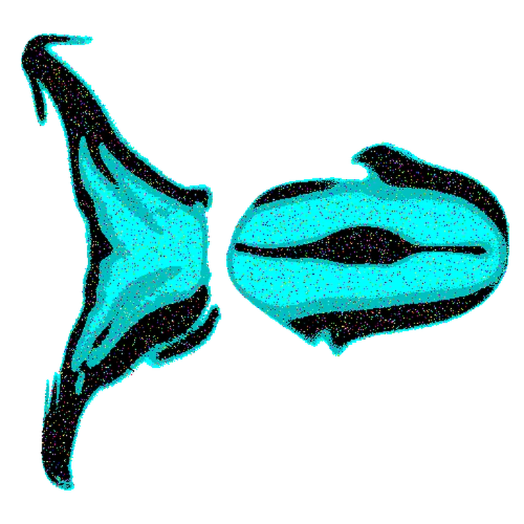 XX Variant Remakes + XX variants for scrapped X variants or for X ...