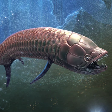 Battle Of The Deep S2 R1 M4 | Fandom