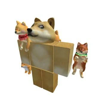 If doge was still alive this would be a good noob skin | Fandom