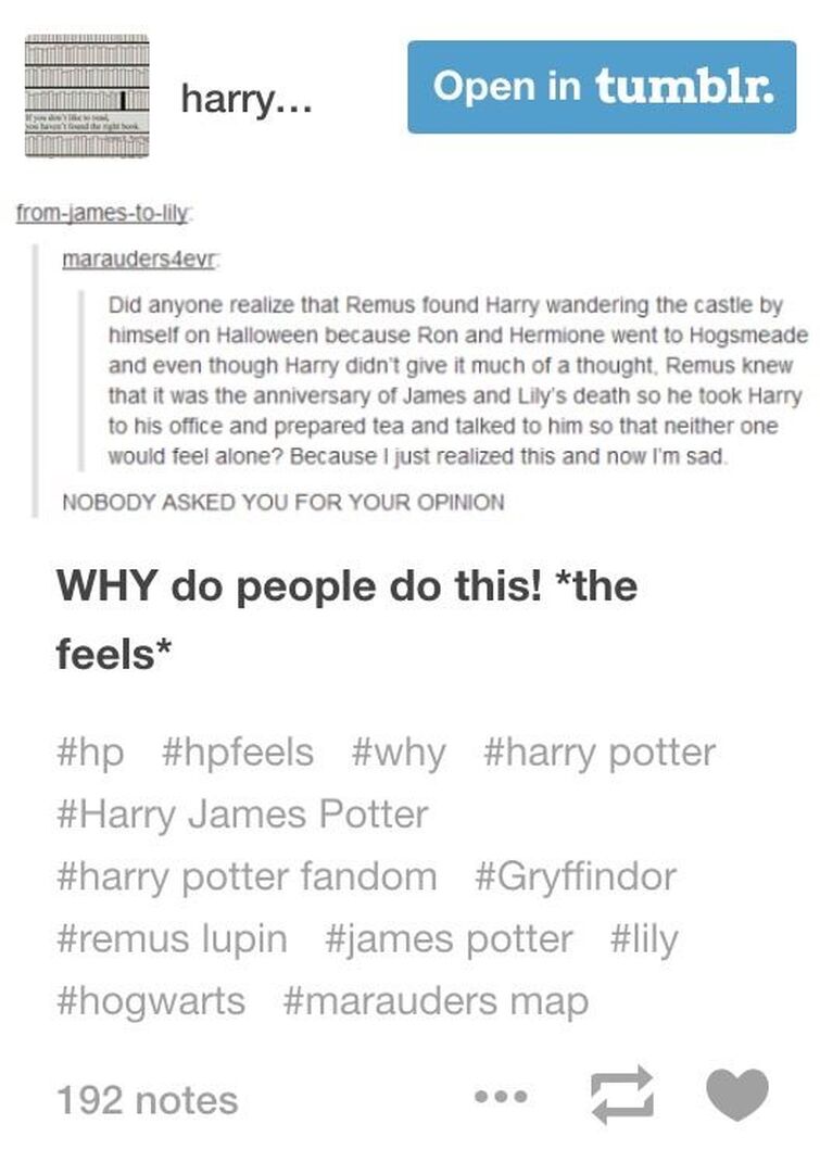 A few Harry Potter Headcanons I wanted to share because I'm quite evil ...