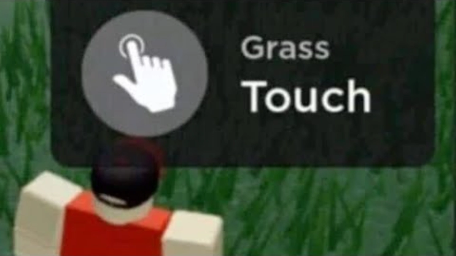 I call it touching grass, rhymes with grug | Fandom