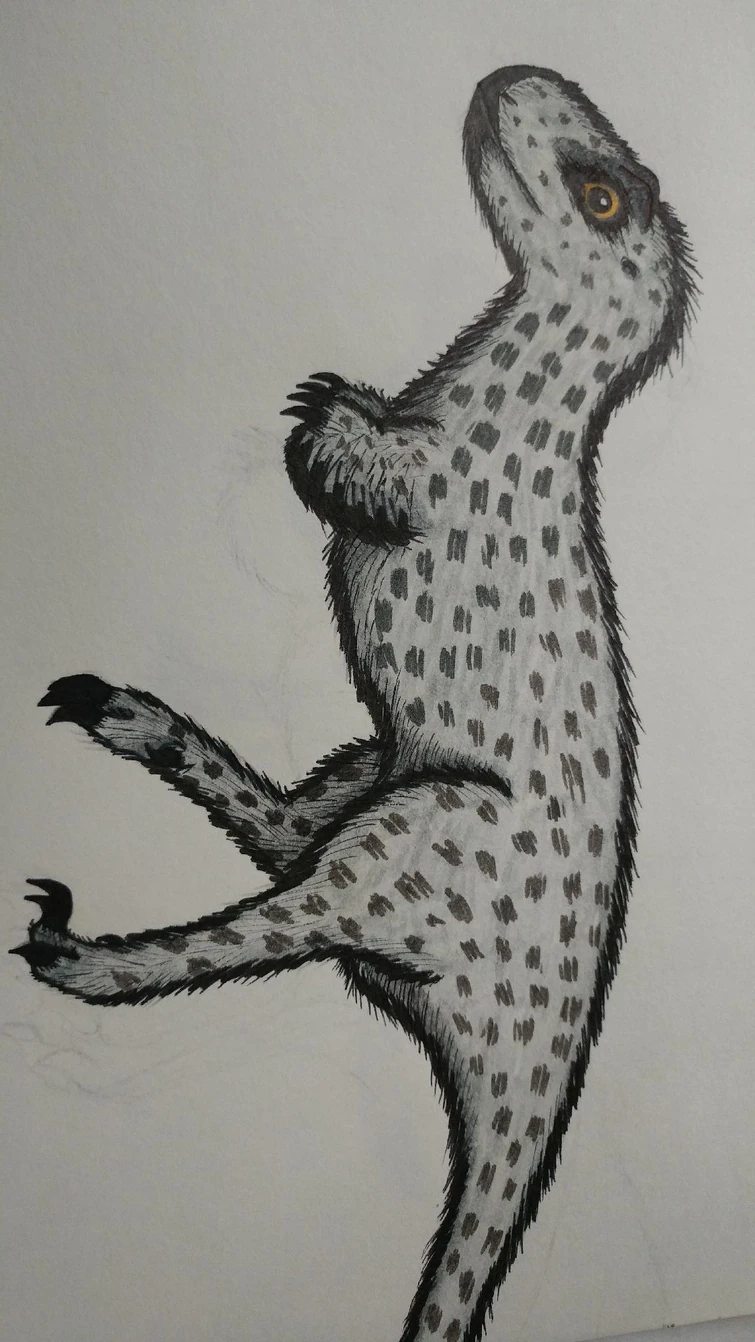 Female Nanuqsaurus | Fandom