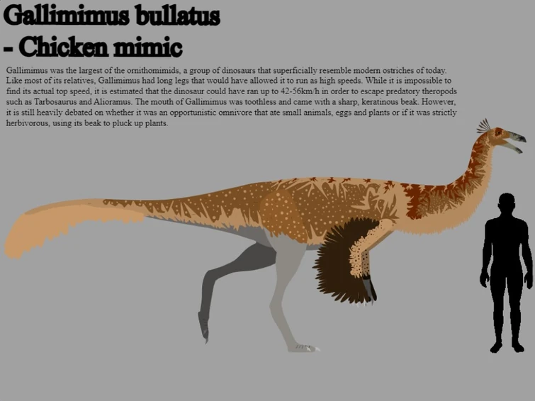 Gallimimus art | Fandom