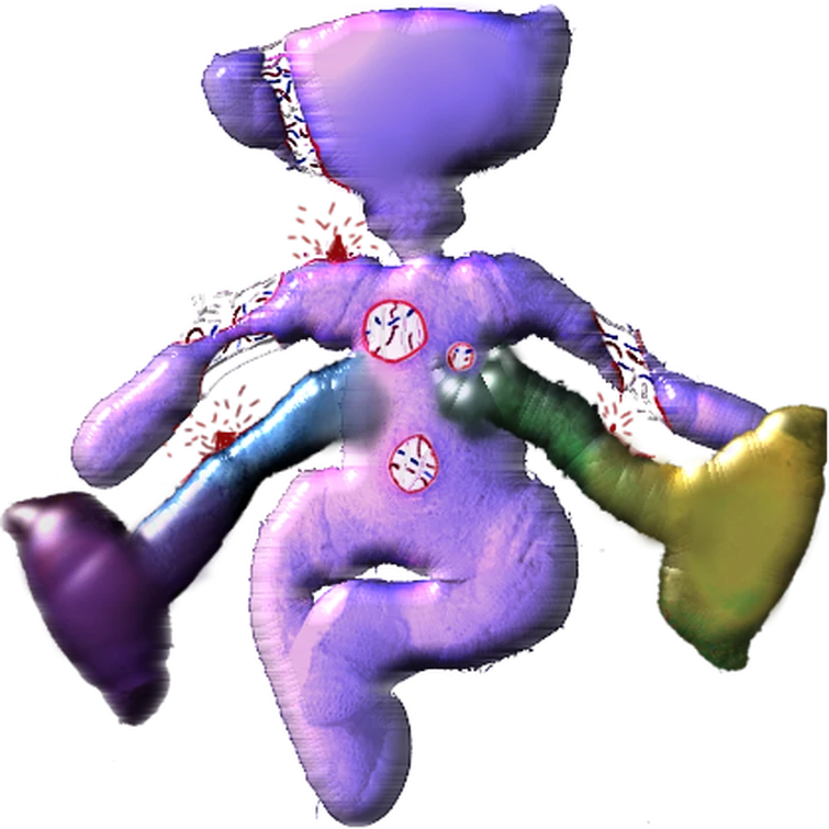 Hi rate my skin | Fandom