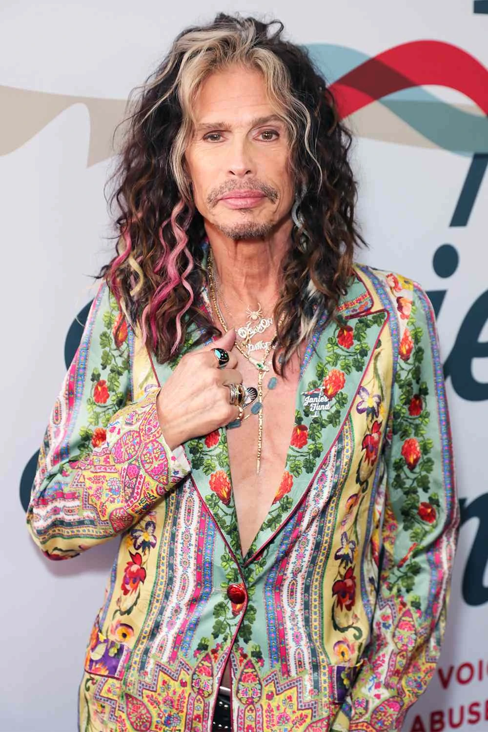 Steven Tyler | Celebrity The Voice Wiki | Fandom