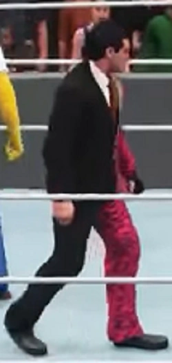 Two-Face | Celebrity Wrestling Alliance Wiki | Fandom