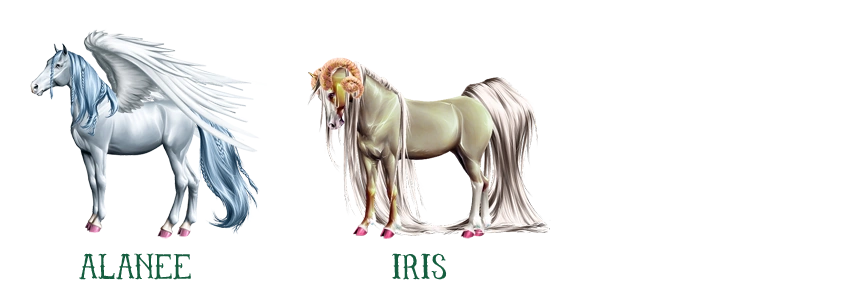 Breed Images | Celestial Equine Wiki | Fandom