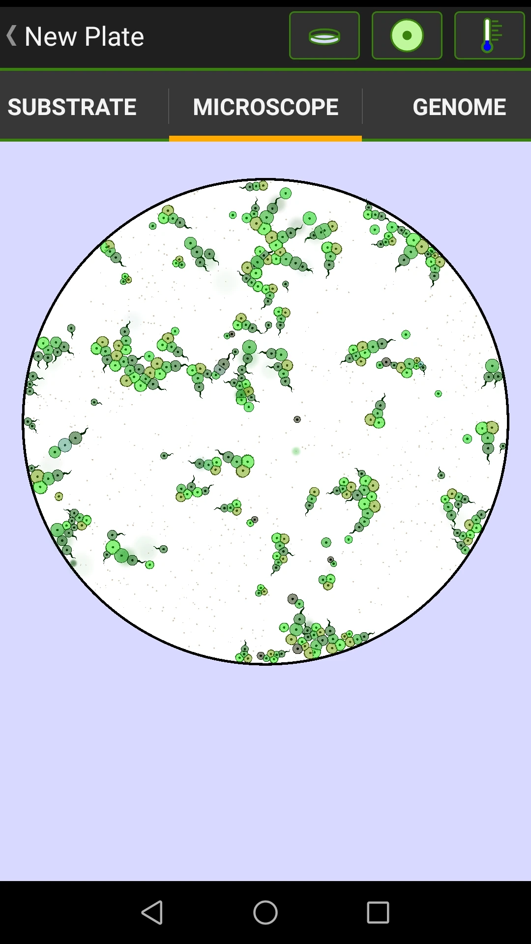 Flagellacilio | Cell Lab Wikia | Fandom