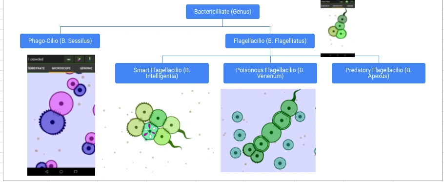 Species:Bactericilliate (Genus) | Cell Lab Wikia | Fandom