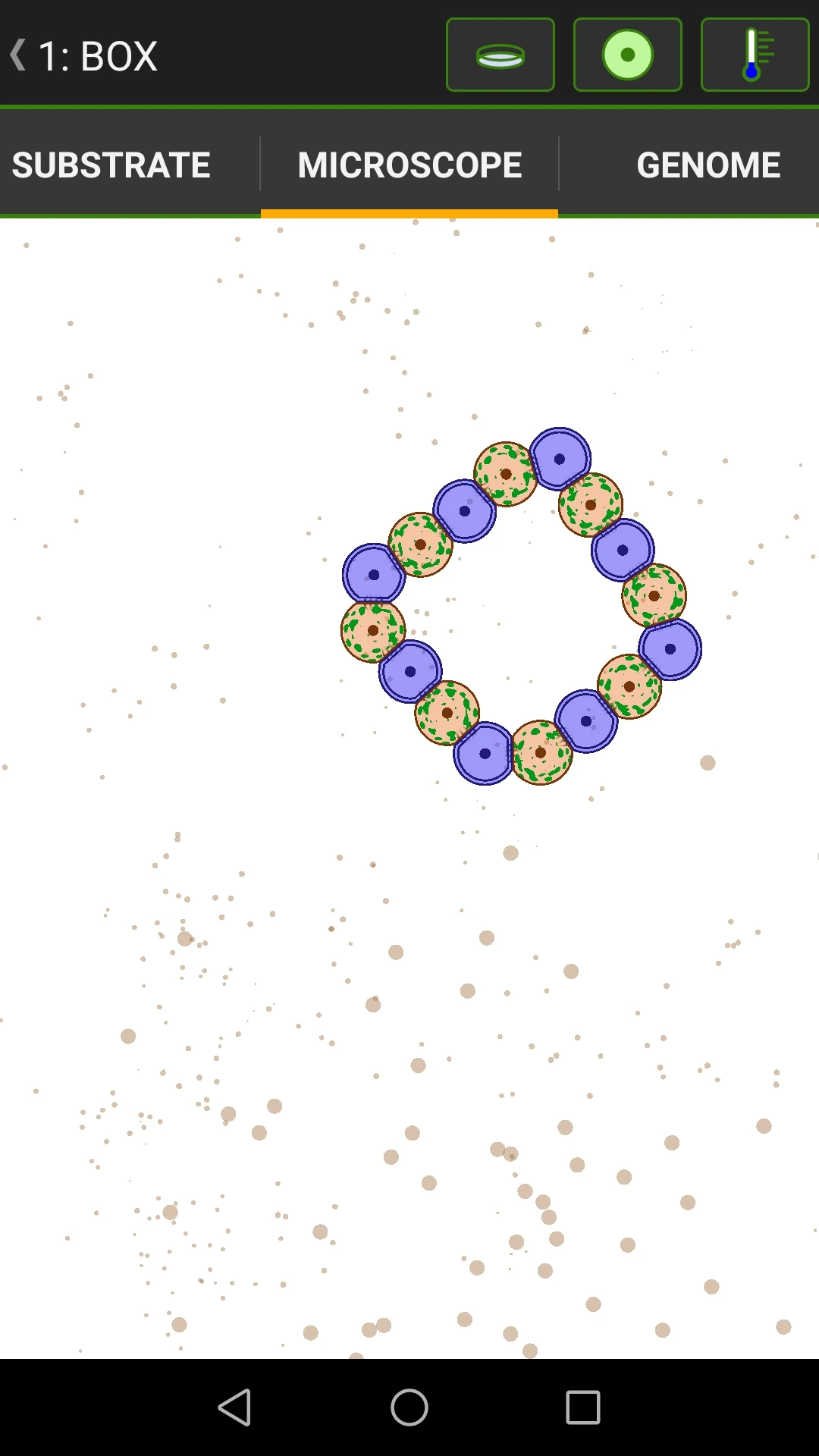 Species:Box | Cell Lab Wikia | Fandom