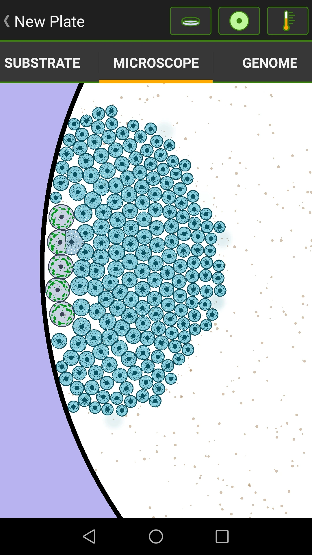 Keratinosecrcyte | Cell Lab Wikia | Fandom