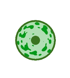 Photocyte | Cell Lab Wikia | Fandom