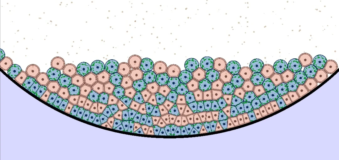 Soil | Cell Lab Wikia | Fandom
