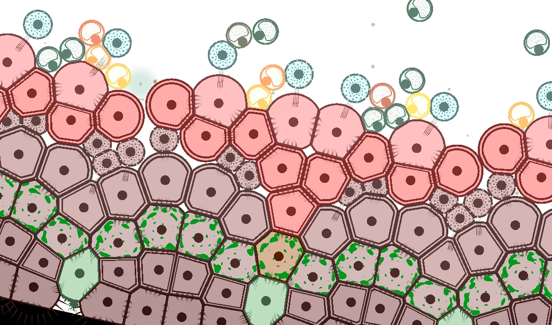 Species:Blood Anemones | Cell Lab Wikia | Fandom