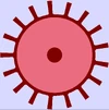 Клетки | Cell lab вики | Fandom