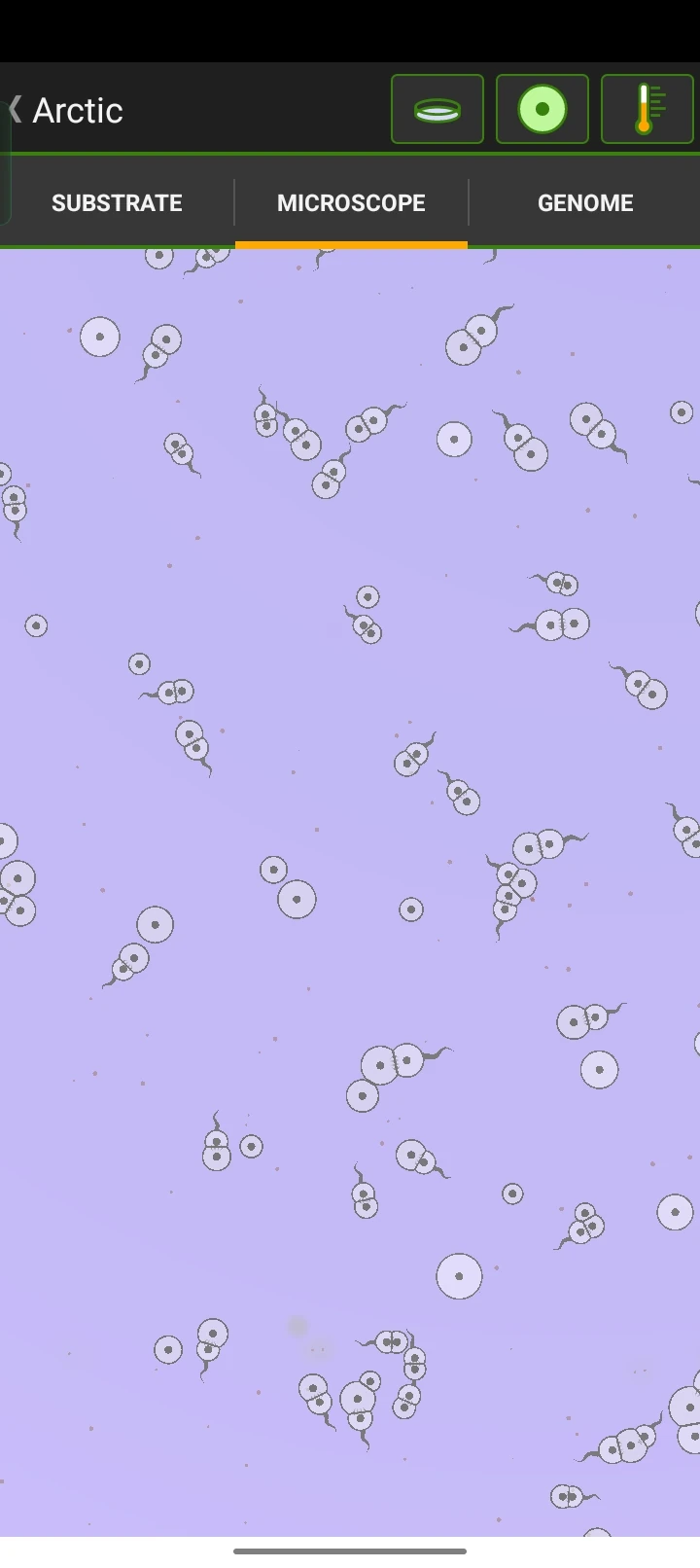 Arctic flagellate | Cell Lab Wikia | Fandom