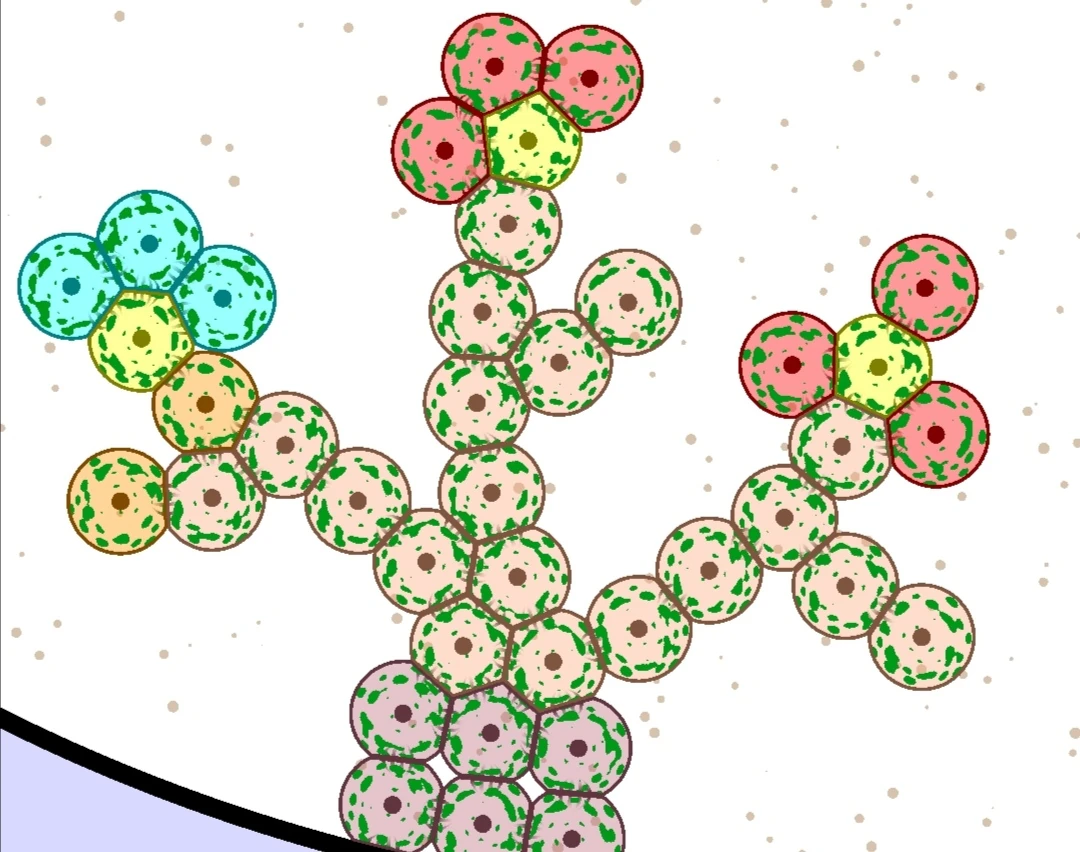 Hydra (plant) | Cell Lab Wikia | Fandom