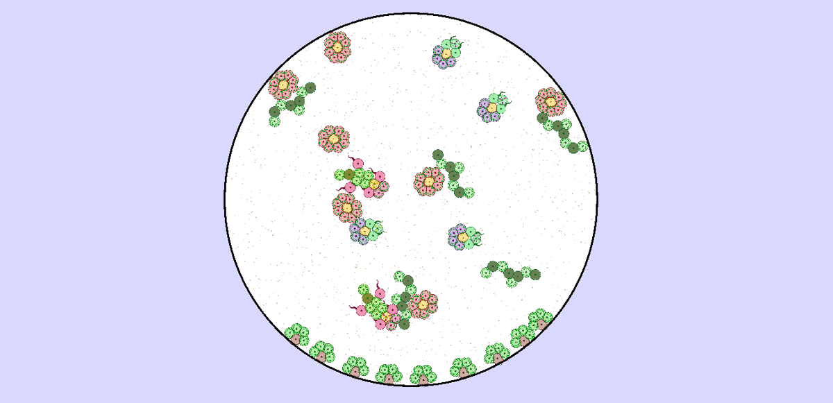 Category:Plants | Cell Lab Wikia | Fandom