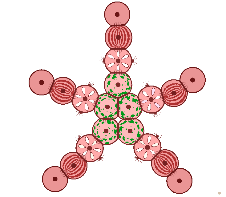 Starfish | Cell Lab Wikia | Fandom