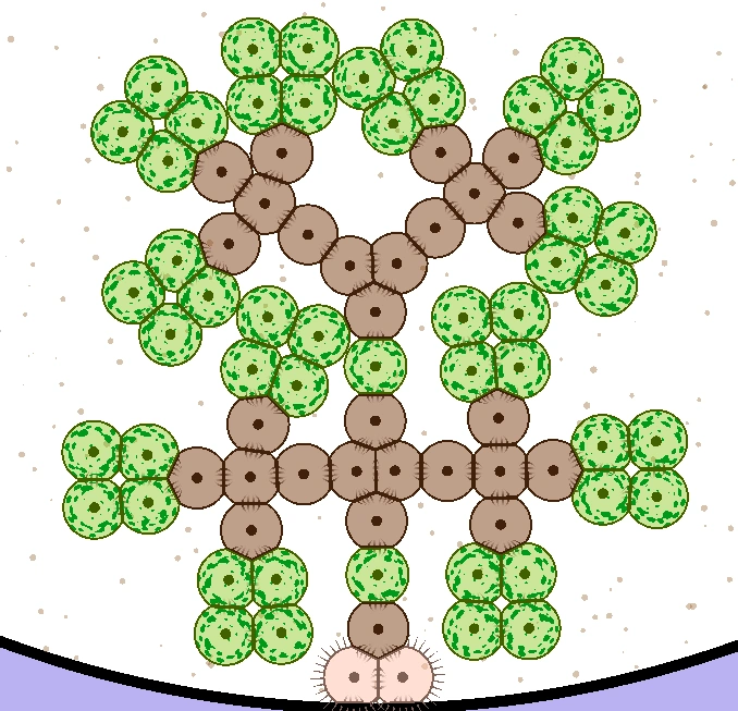 Species:Arbor Tree | Cell Lab Wikia | Fandom