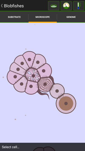 Blobfish | Cell Lab Wikia | Fandom