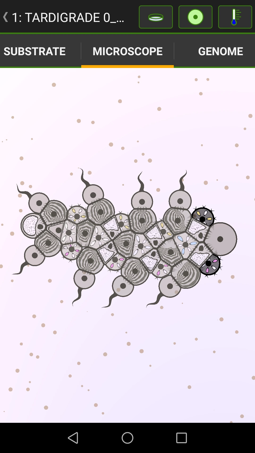 Tardigrade | Cell Lab Wikia | Fandom