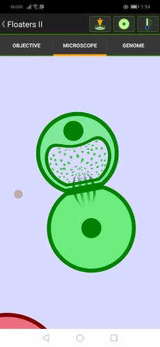 Up-Down Floater | Cell Lab Wikia | Fandom