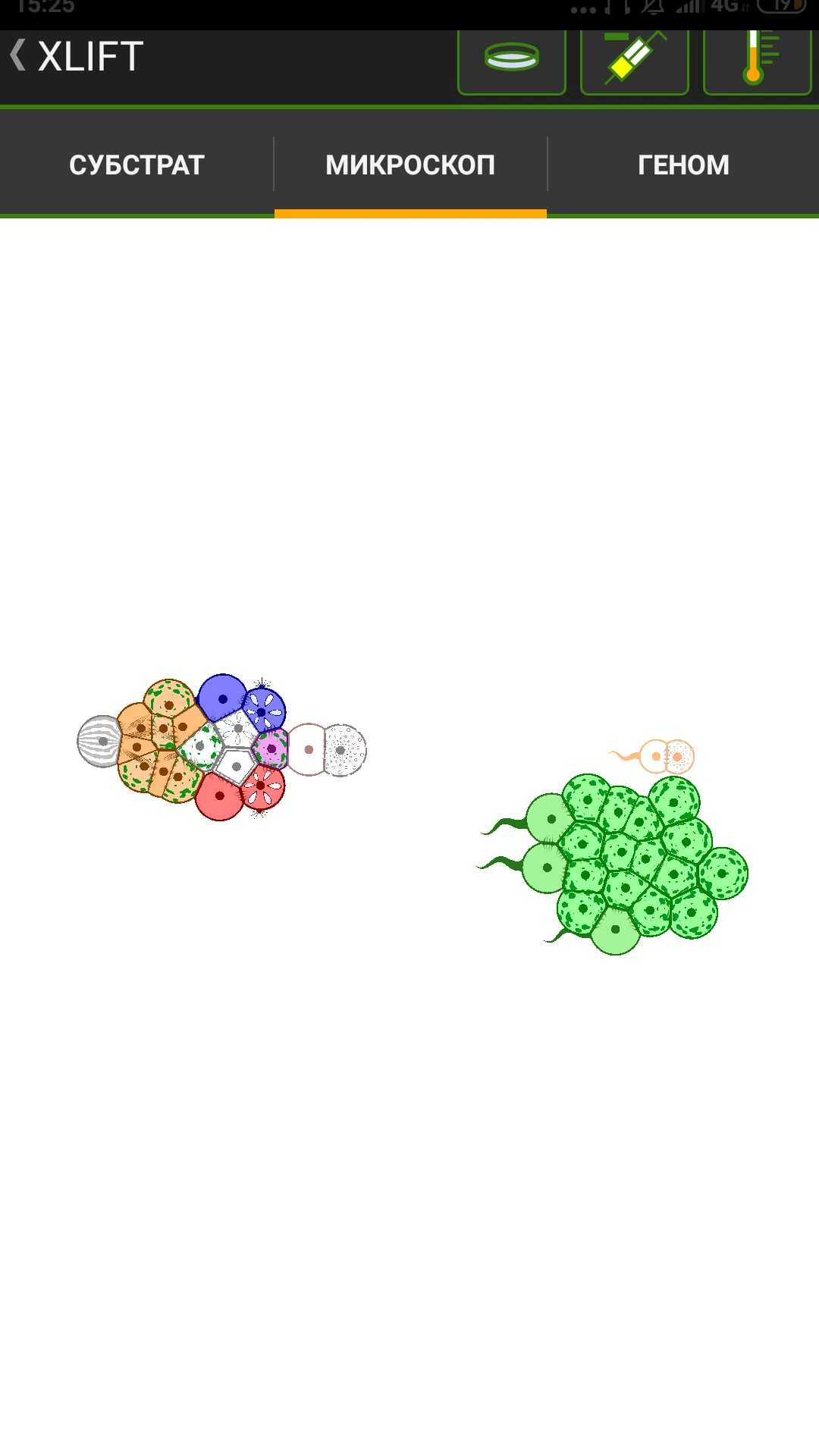 Поднятие | Cell lab вики | Fandom