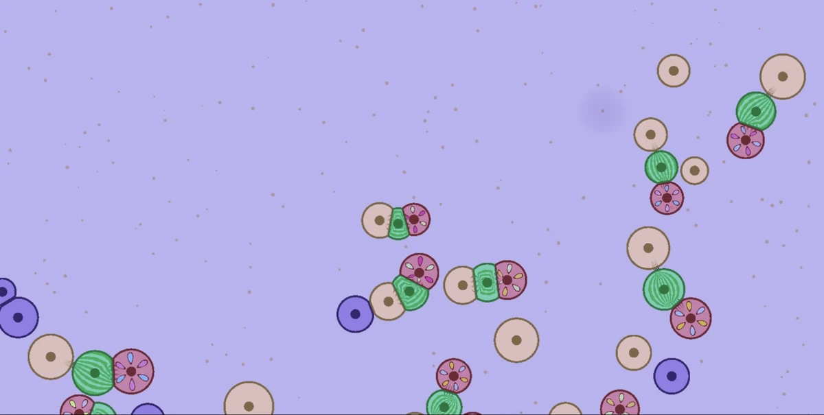 Myocyte Crawler | Cell Lab Wikia | Fandom