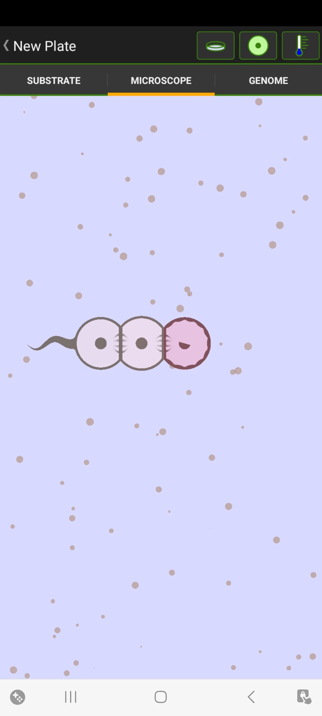 Gendered Swimmer | Cell Lab Wikia | Fandom