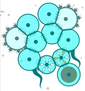 Species:Gilled Smart Swimmer | Cell Lab Wikia | Fandom