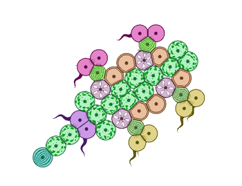 Giant Tardus | Cell Lab Wikia | Fandom