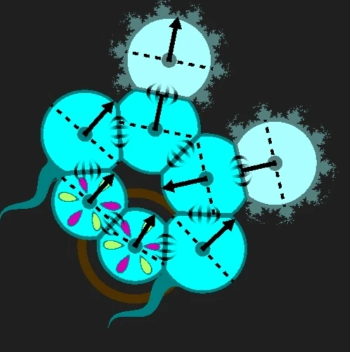 Category:Lipocyte | Cell Lab Wikia | Fandom