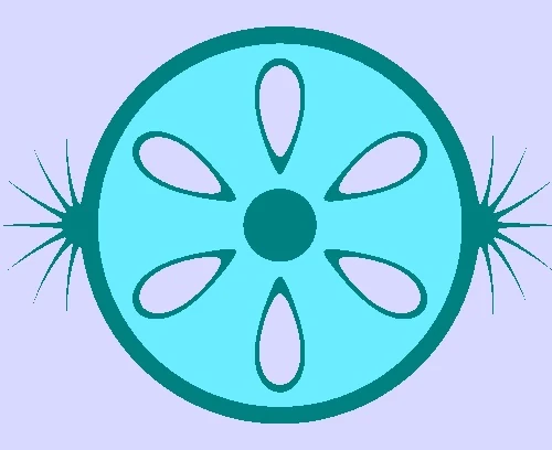 Stereocyte | Cell Lab Wikia | Fandom