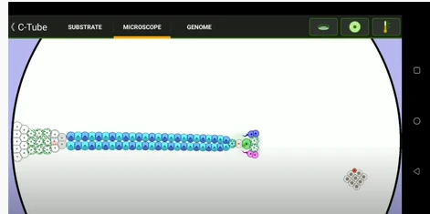 C-Tube | Cell Lab Wikia | Fandom