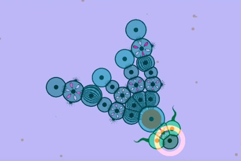 Smart Squid I | Cell Lab Wikia | Fandom