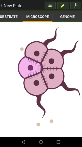 Quad Booster | Cell Lab Wikia | Fandom