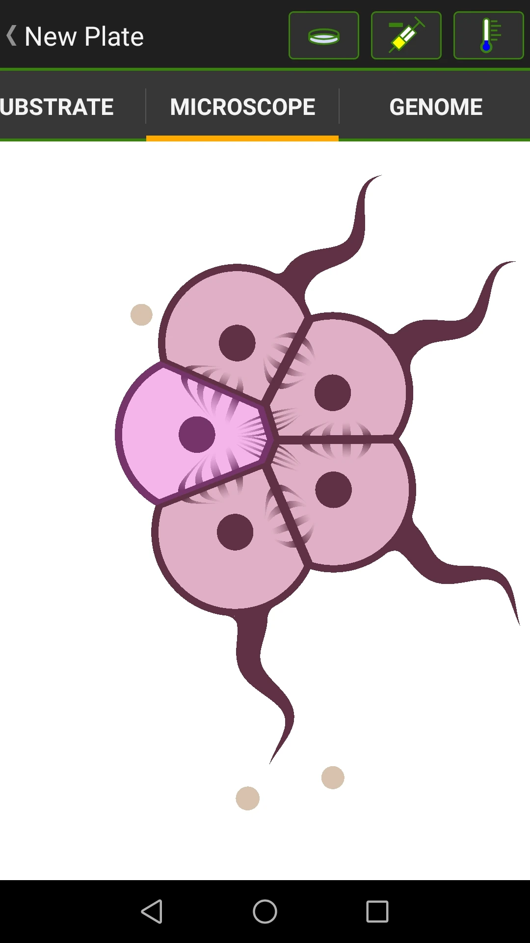 Quad Booster | Cell Lab Wikia | Fandom