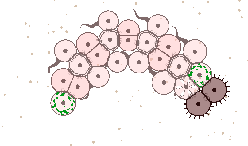 Rhinoceros Maggot | Cell Lab Wikia | Fandom