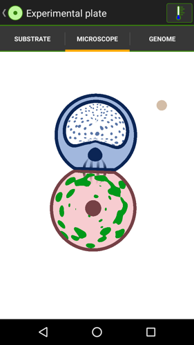 Floater | Cell Lab Wikia | Fandom