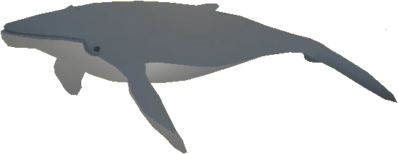 Cetaceans | Cell to Singularity Wiki | Fandom