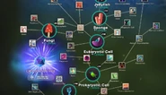 Augmentations Console | Cell to Singularity Wiki | Fandom