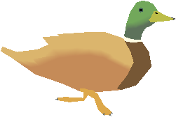 Anseriformes | Cell to Singularity Wiki | Fandom