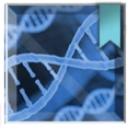 Tabular Compilation of Achievements | Cell to Singularity Wiki | Fandom