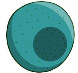 Nucleus | Cellcraft Wiki | Fandom