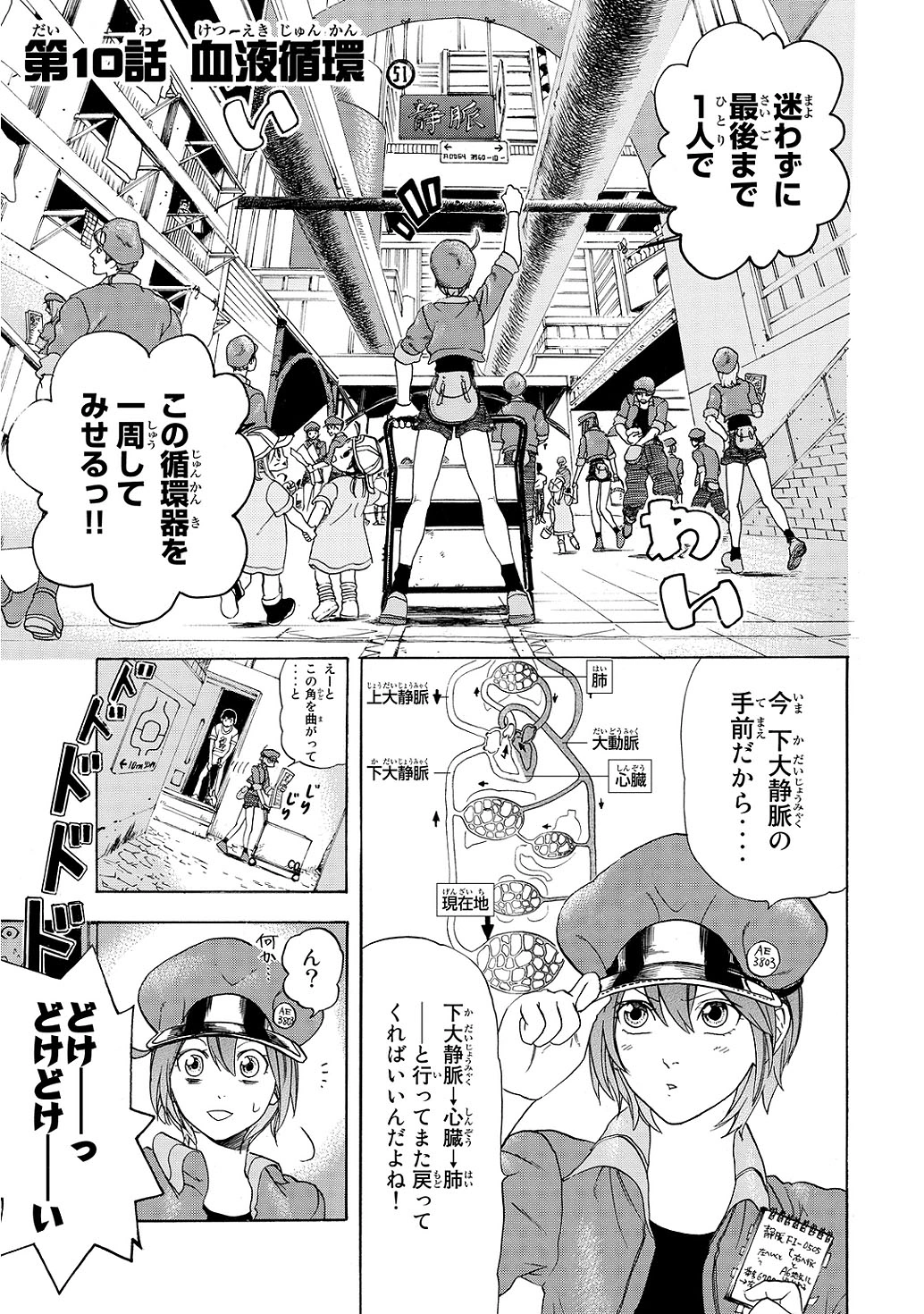 Chapter 10 | Cells at Work! Wiki | Fandom