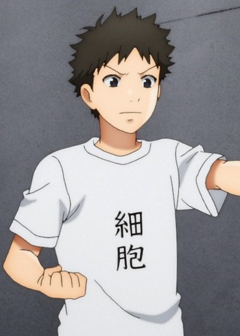 Normal Cell | Cells at Work! Wiki | Fandom